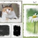 Torn Edges Texture and Masking Set for Photographers Using Photoshop - Etsy