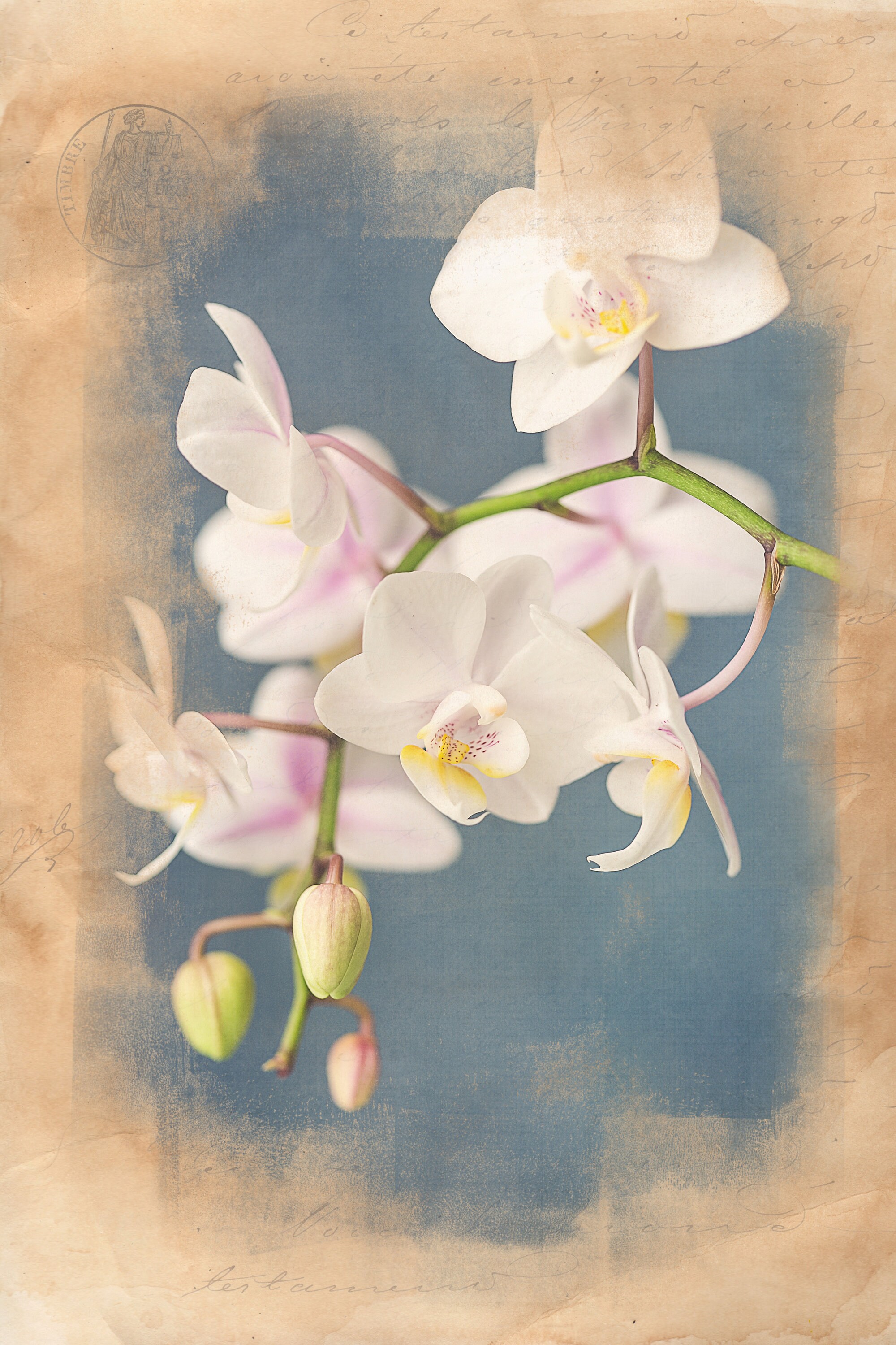 Old French Documents Texture and Masking Set for Photographers Using ...