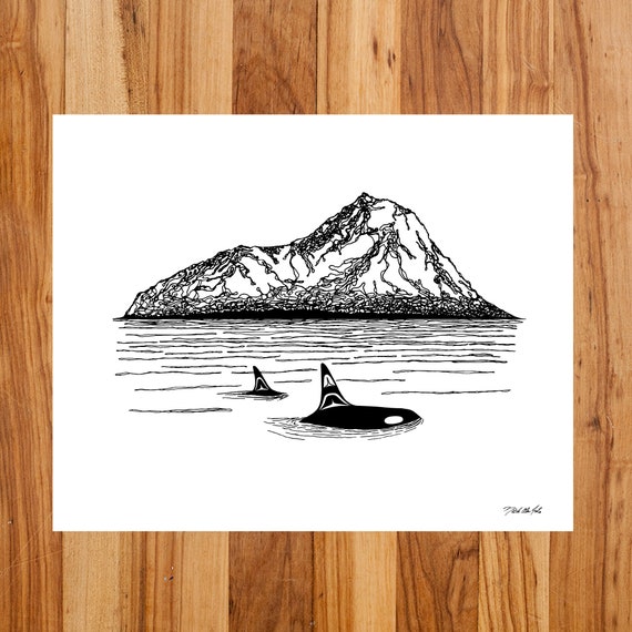 Native American Orca Whale Art