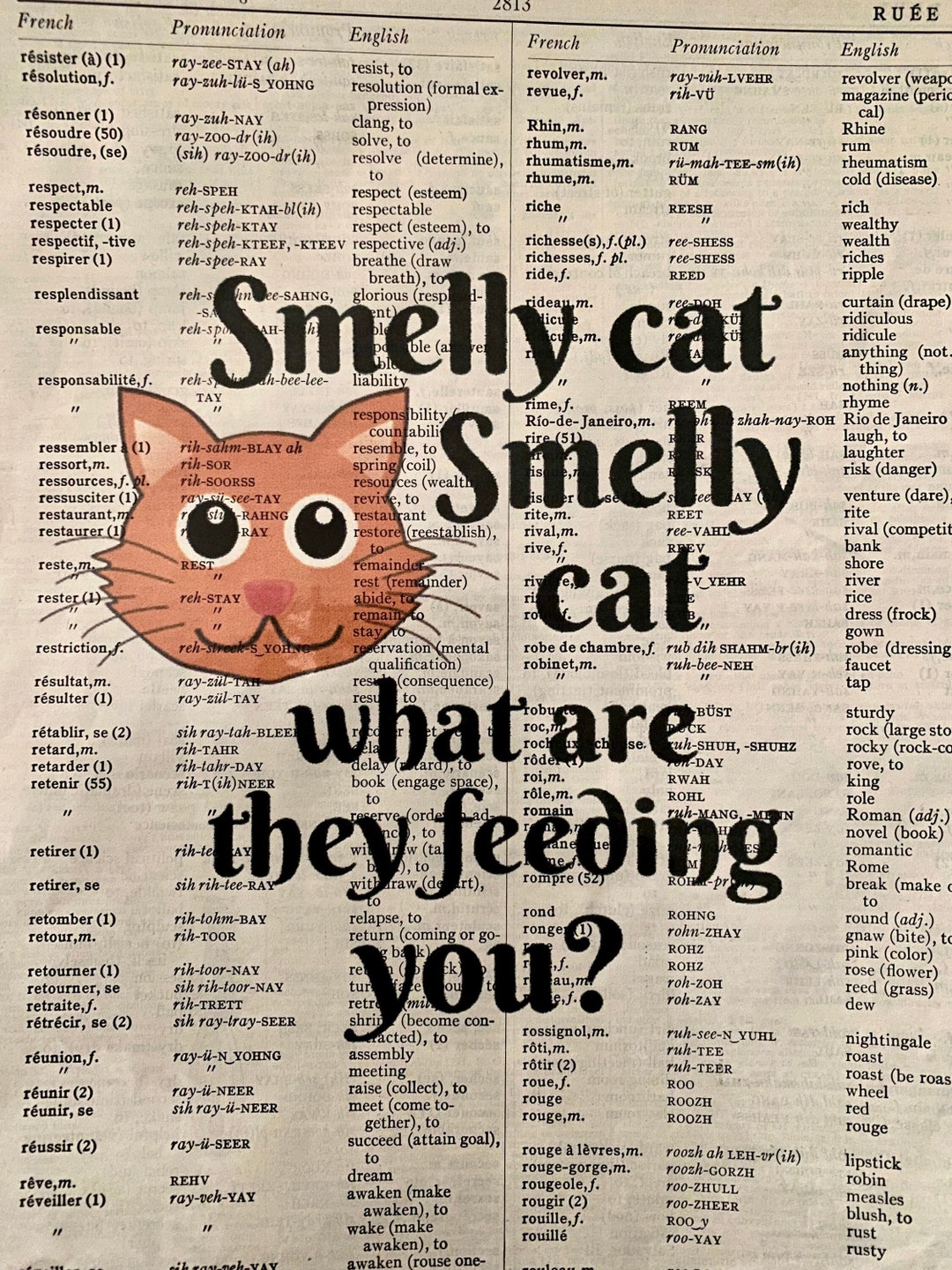 Smelly Cat Dictionary Art Paper 1990s Friends Inspired Art - Etsy