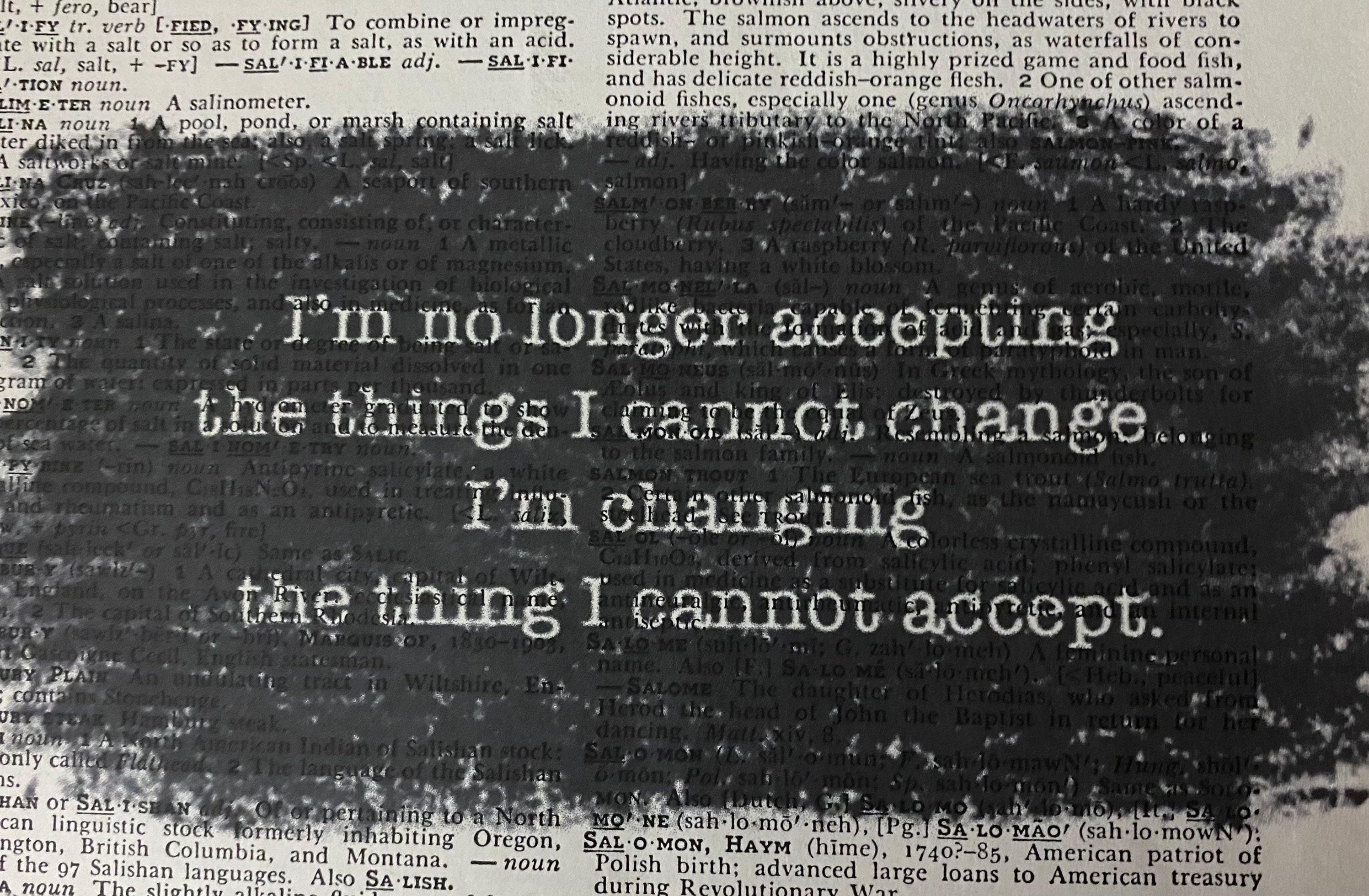 I Am No Longer Accepting the Things I Cannot Change I Am - Etsy I Am No Longer Accepting the Things I Cannot Change I Am - Etsy