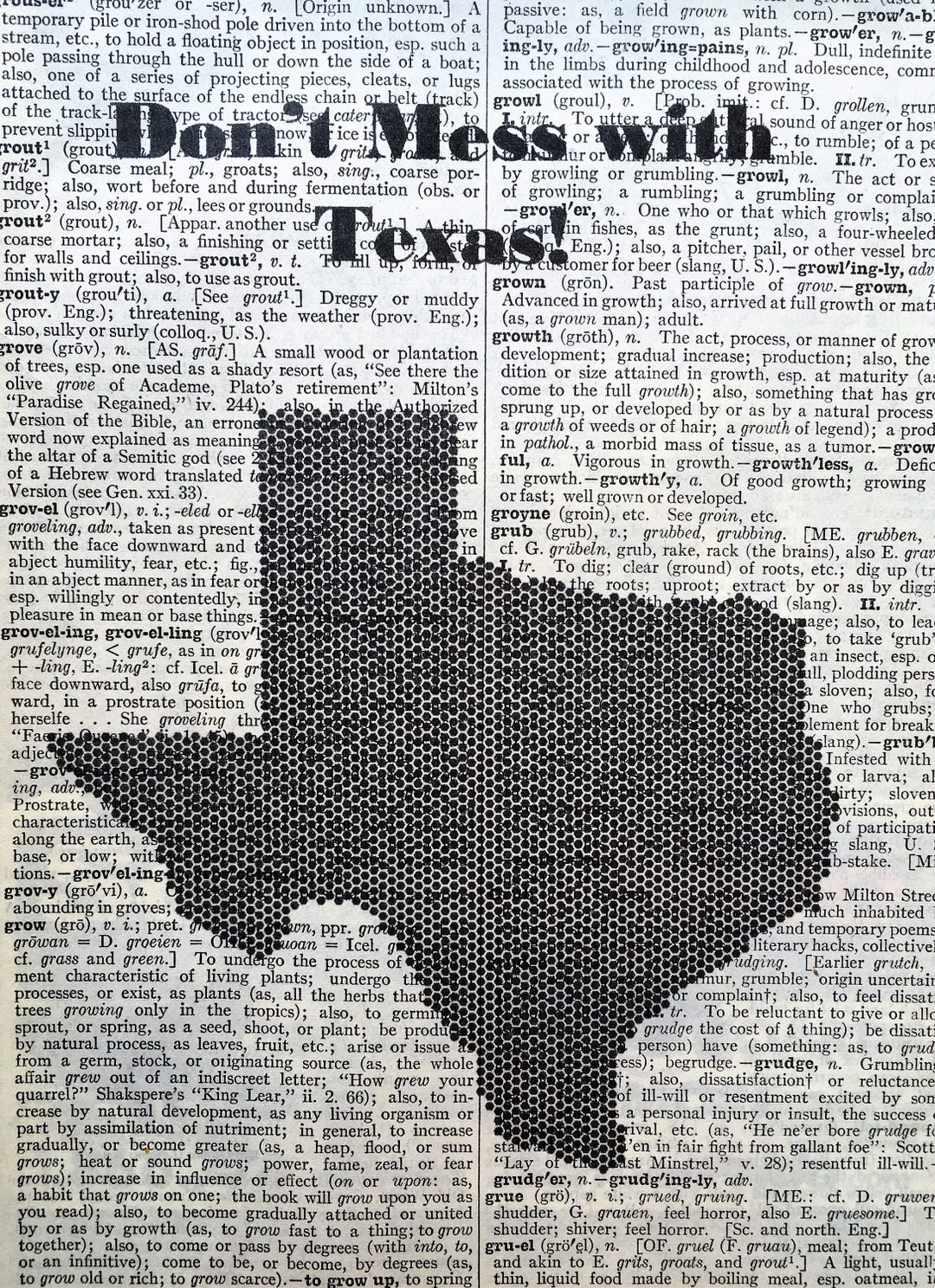 Don't Mess With Texas Dictionary Art Print - Etsy