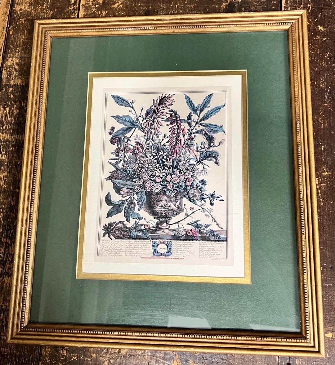 Vintage Robert Furber 12 Months of Flowers January Botanical Print ...