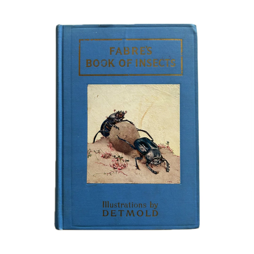 Insects in Mythology, Folklore & Real Life fabre's Book Retold From De ...