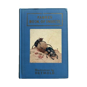 Insects in Mythology, Folklore & Real Life fabre's Book Retold From De ...