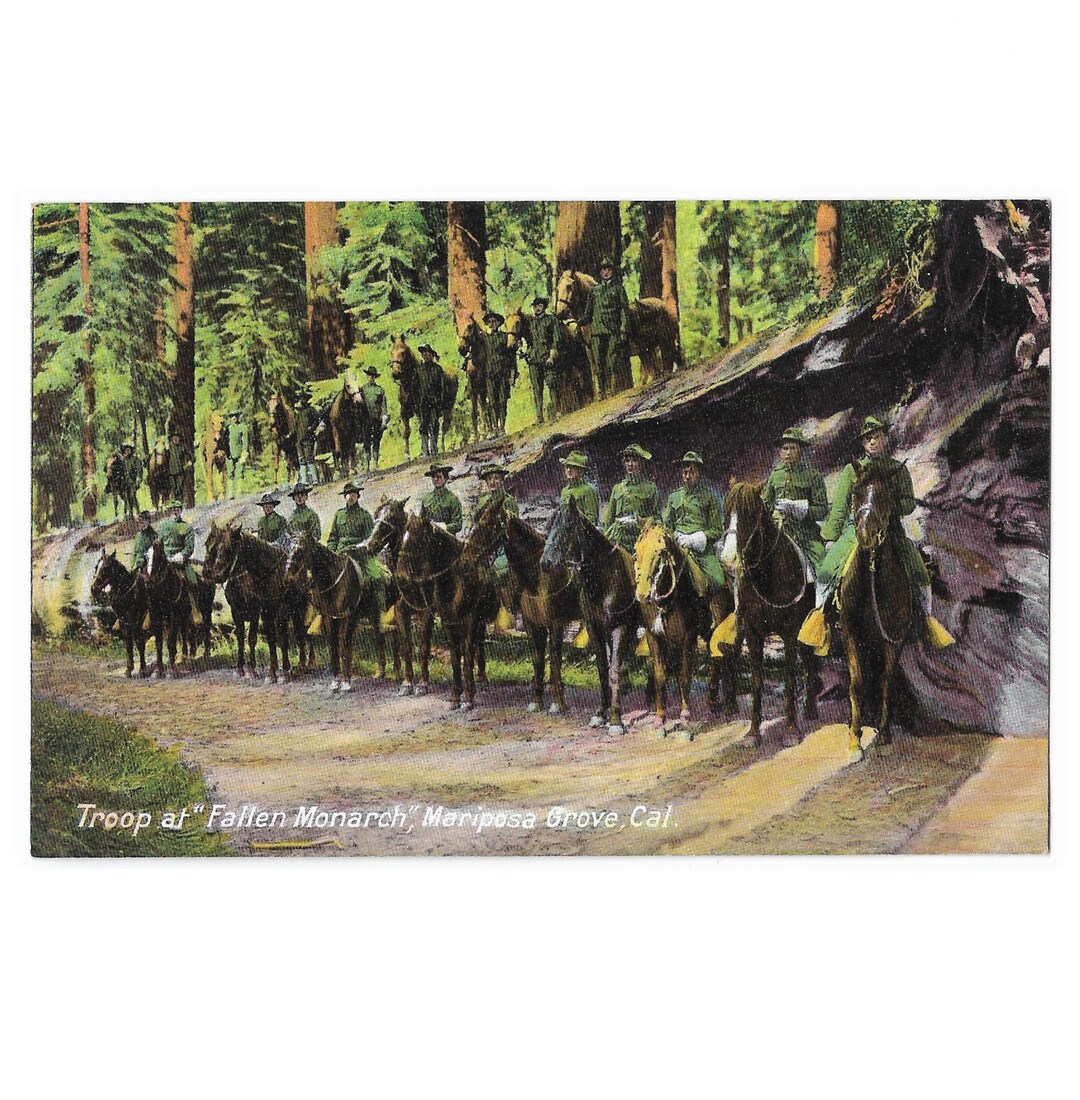 US Cavalry Troop on Horseback at Mariposa Grove California - Etsy