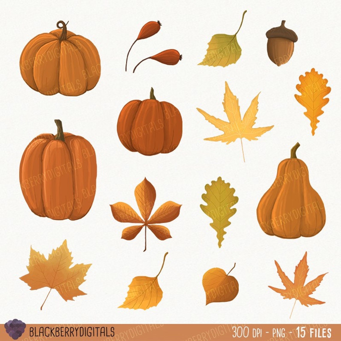 Fall Clipart Set, Fall Clip Art Images, Fall Vector, Autumn Clipart ...