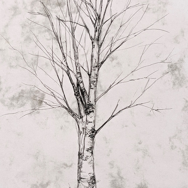 Birch Tree Drawing - Etsy