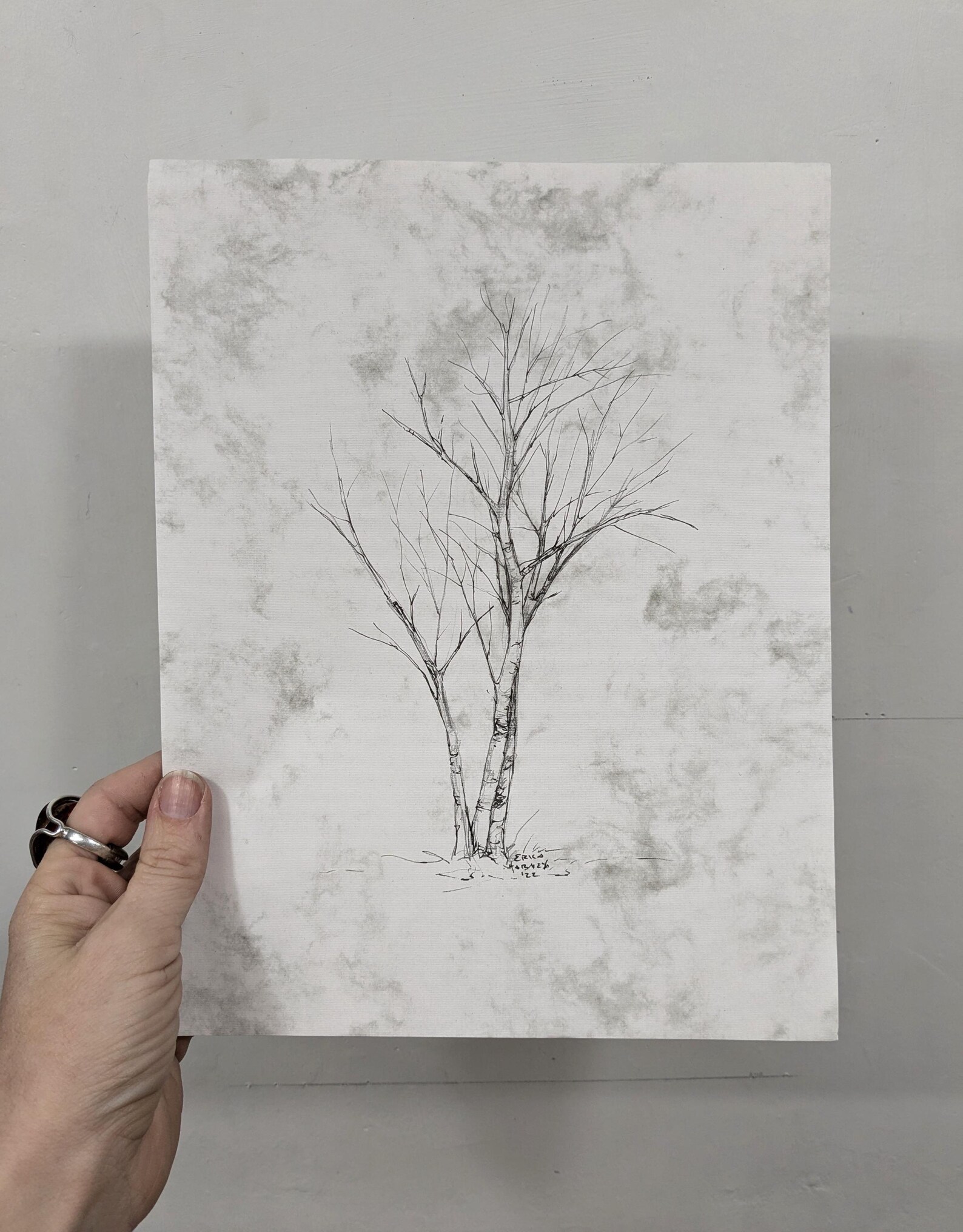 Original Birch Tree Drawing: Handmade Pencil & Ink Artwork. Hand-drawn ...