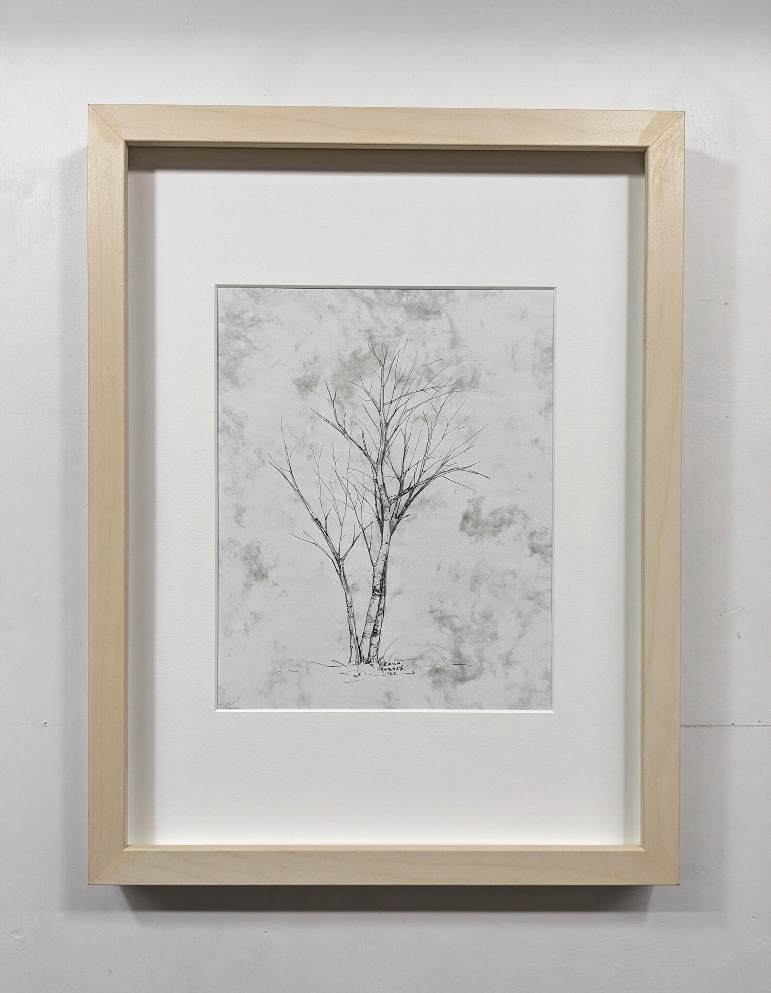 Original Birch Tree Drawing: Handmade Pencil & Ink Artwork. Hand-drawn ...