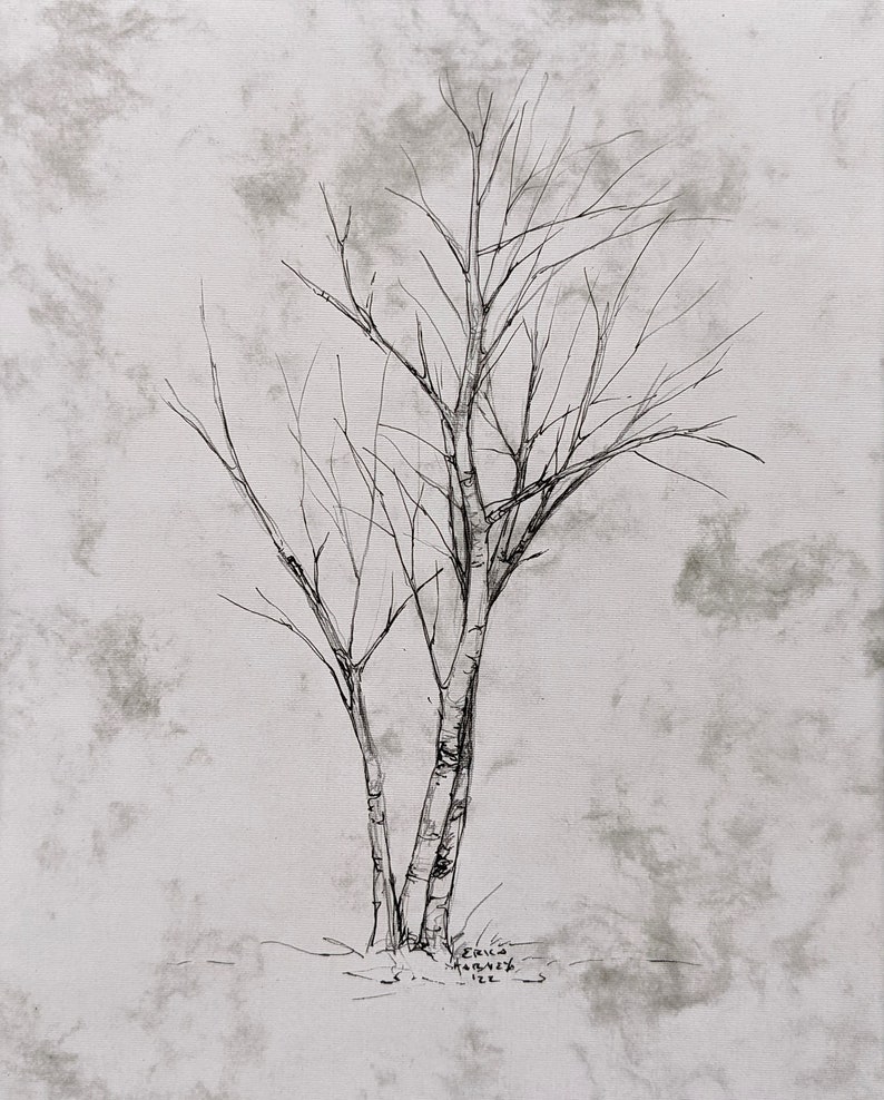 Original Birch Tree Drawing: Handmade Pencil & Ink Artwork. Hand-drawn ...