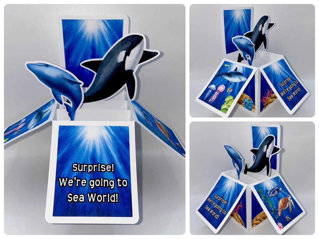 Vacation Reveal Pop-up Card (sea World) - Etsy