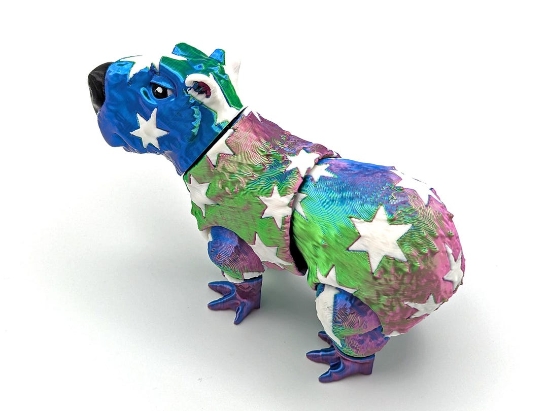 Disco Star Capybara! Multi-coloured Quality 3D Printed Fidget / Anxiety ...