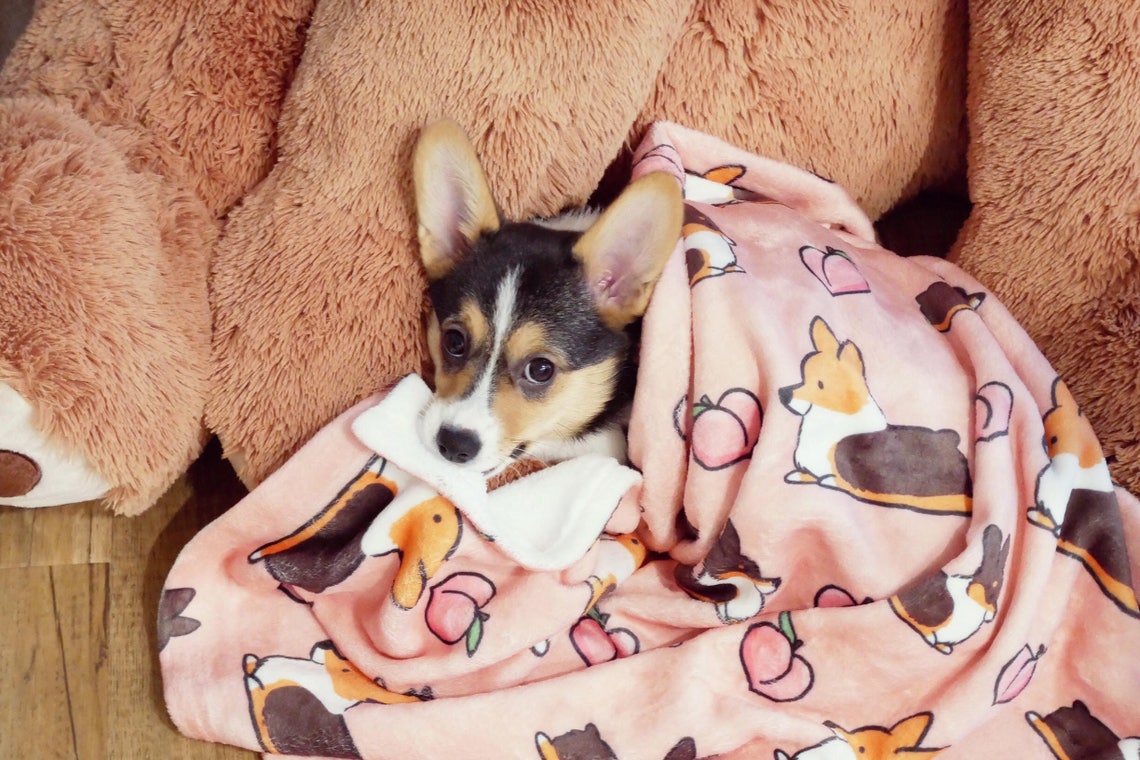 Pink Tricolor Corgi Sploot Fleece Blanket Small Med or Large - Etsy