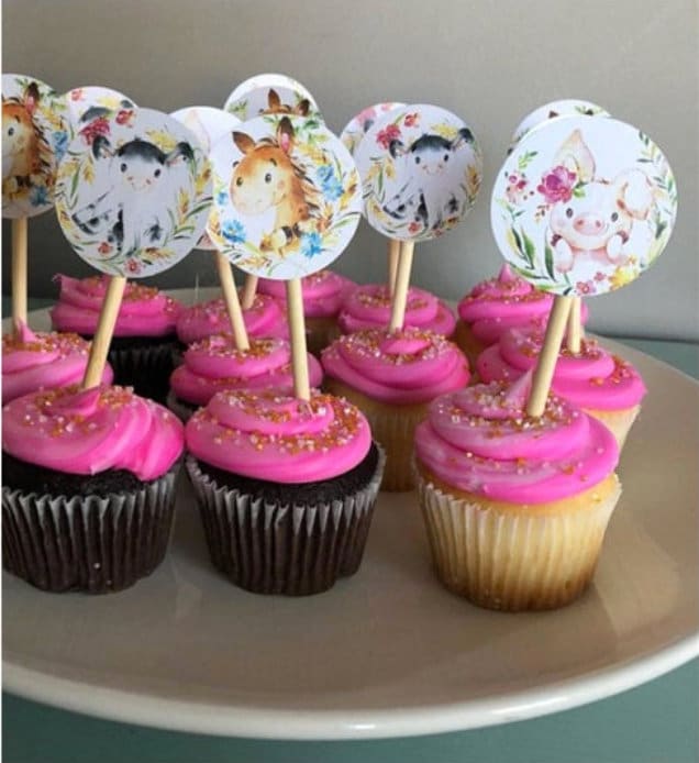Baby Girl Baby Shower First Farm Animal Birthday Party - Etsy