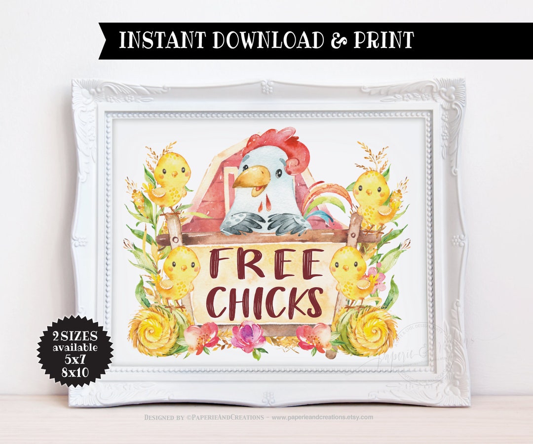 Chicks Sign Farm Animals Birthday Chickens Roaster Chicks Farm Chickens ...