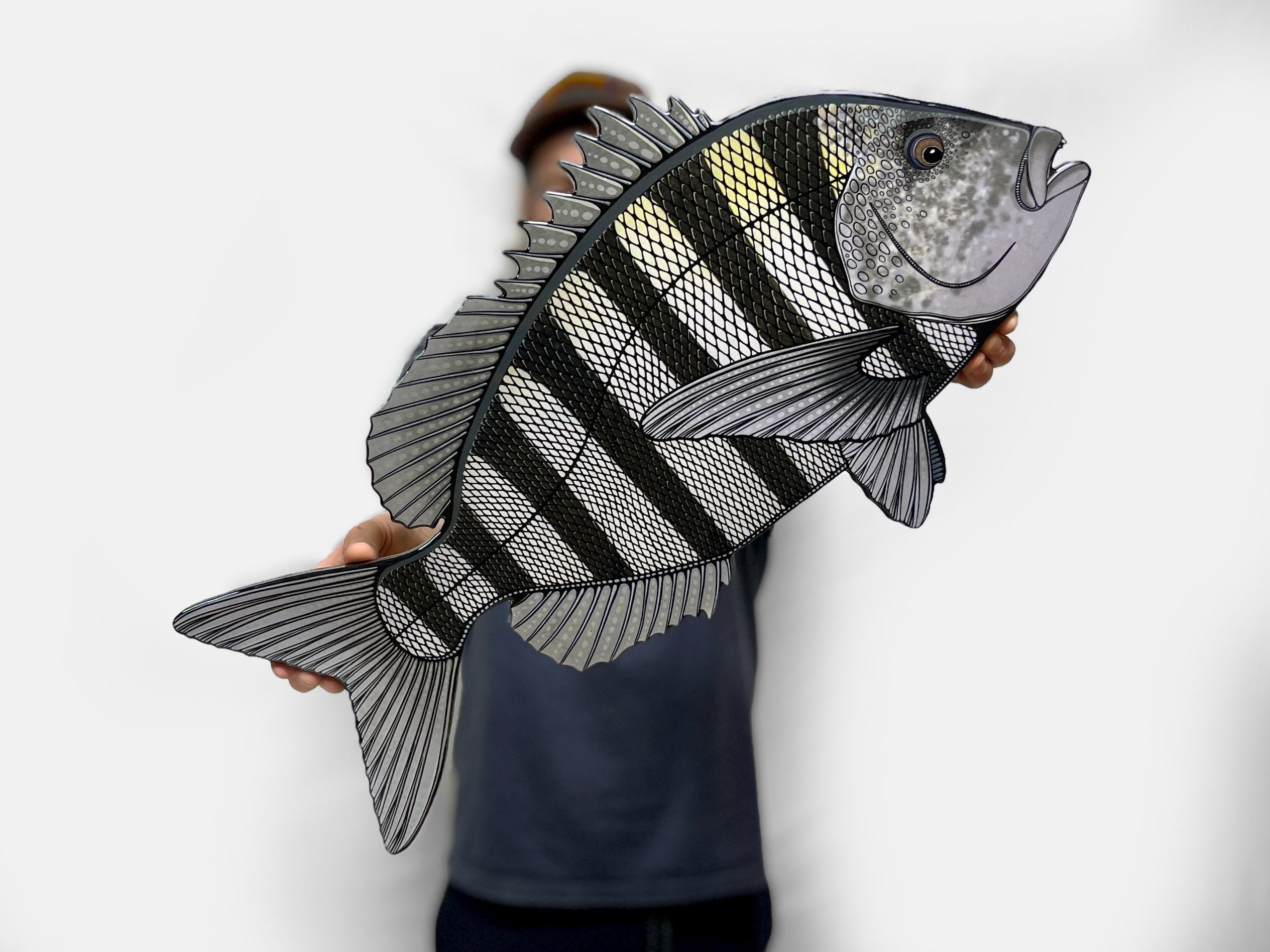 Sheepshead || Fish Print Mount Wall Art || Hand Drawn Nautical and ...