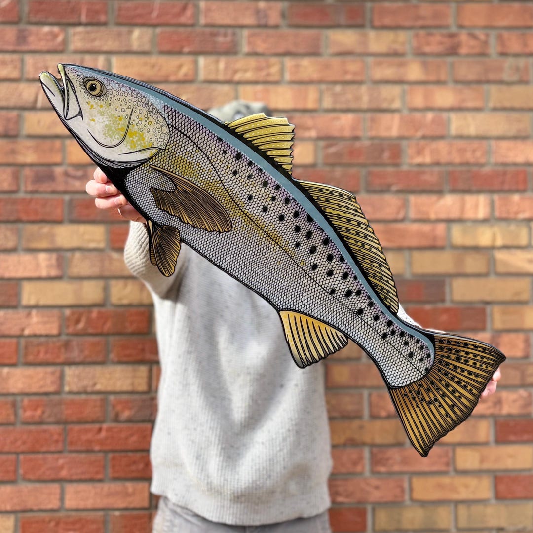 Speckled Trout || Fish Print Mount Wall Art || Hand Drawn Southern and ...