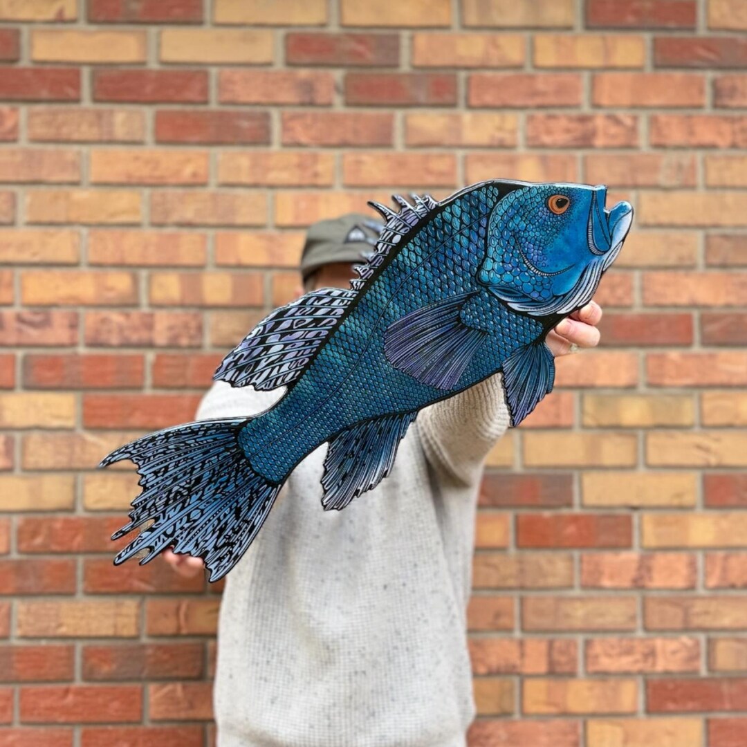 Black Sea Bass || Fish Print Mount Wall Art || Hand Drawn Nautical and ...