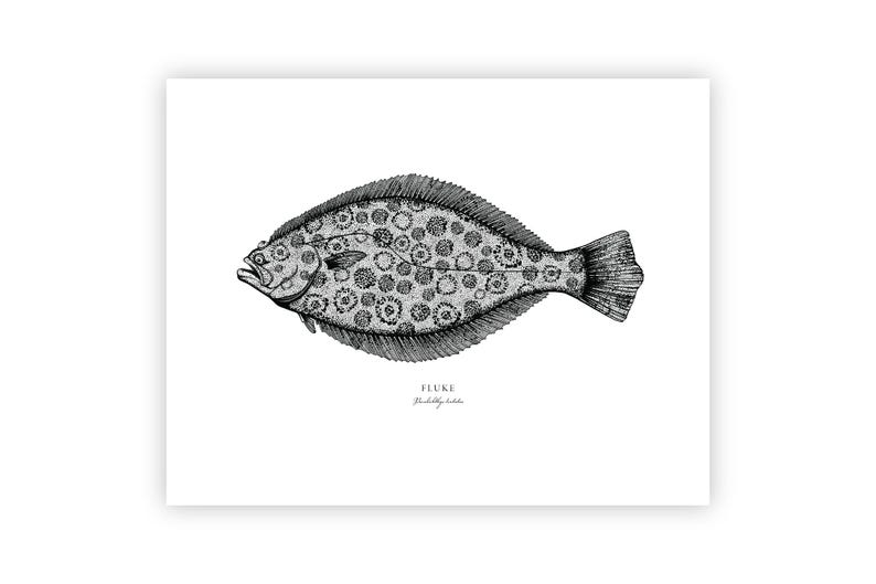 Fluke || Black and White Fine Art Print || Unframed - Etsy