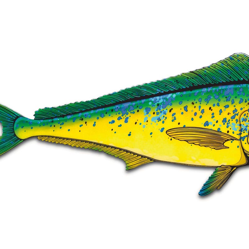 Mahi Mahi Drawing - Etsy