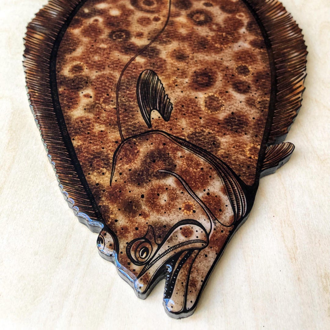 Fluke Mount, Summer Flounder Art, New Jersey Fish Artwork, Southern ...