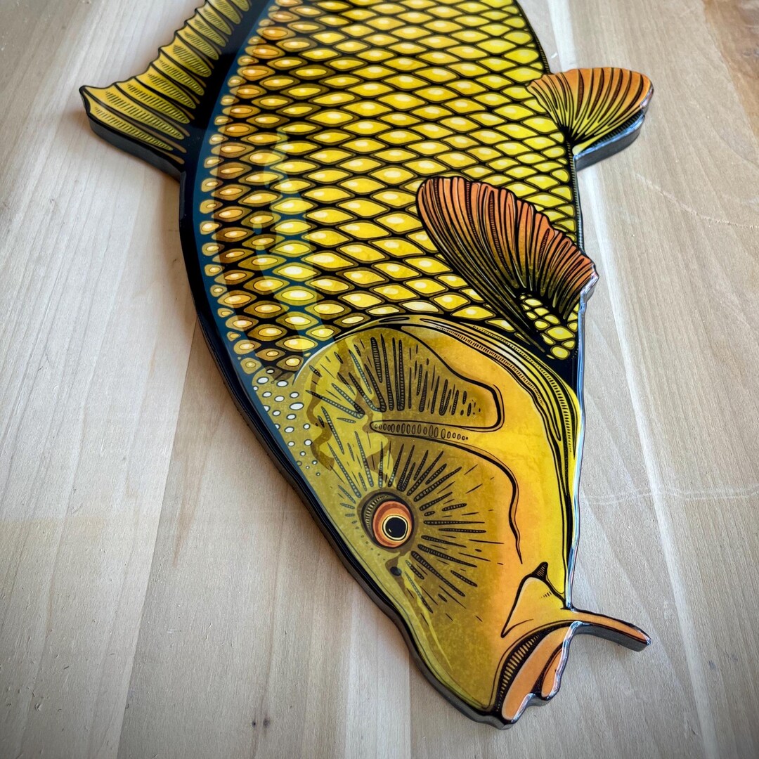 Carp Mount 28 Fishing Art, Fly Fishing Artwork, Wallart, Fine Art ...