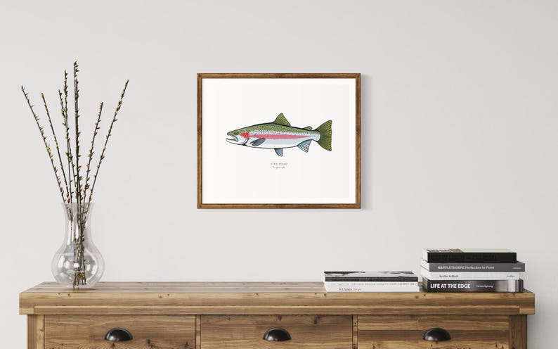 Steelhead Fish Art Print || Hand Drawn Freshwater Fishing Illustration ...