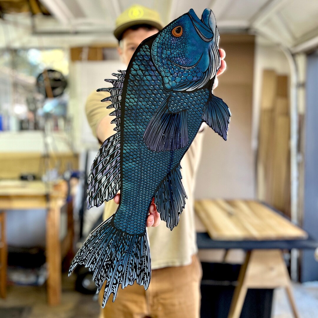 Black Sea Bass || Fish Print Mount Wall Art || Hand Drawn Nautical and ...