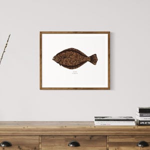 Fluke Fish Print || Coastal Wall Decor, Fine Art Fishing Illustration ...