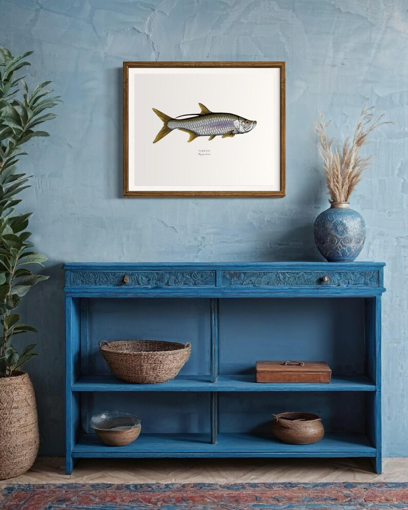 Tarpon Fish Print || Coastal Wall Decor, Fine Art Fishing Illustration ...