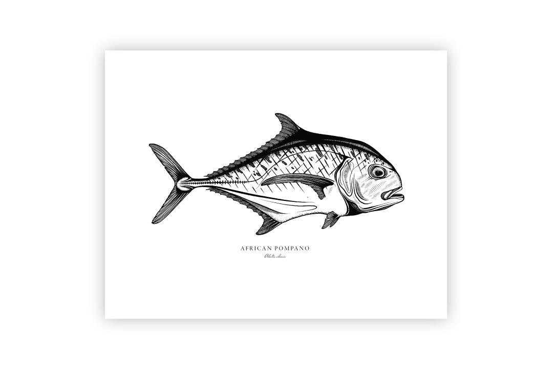 African Pompano Fish Art Print || Coastal Wall Decor, Ocean Fishing ...