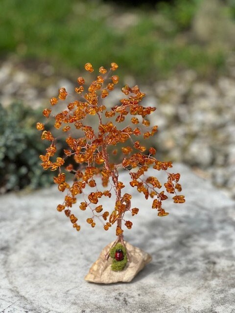 Baltic Amber Tree - Etsy