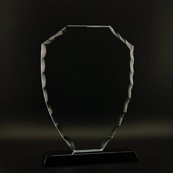 Custom Shield Award - Etsy