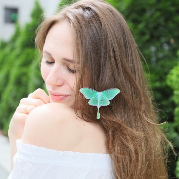 Insect Hair Clip - Etsy