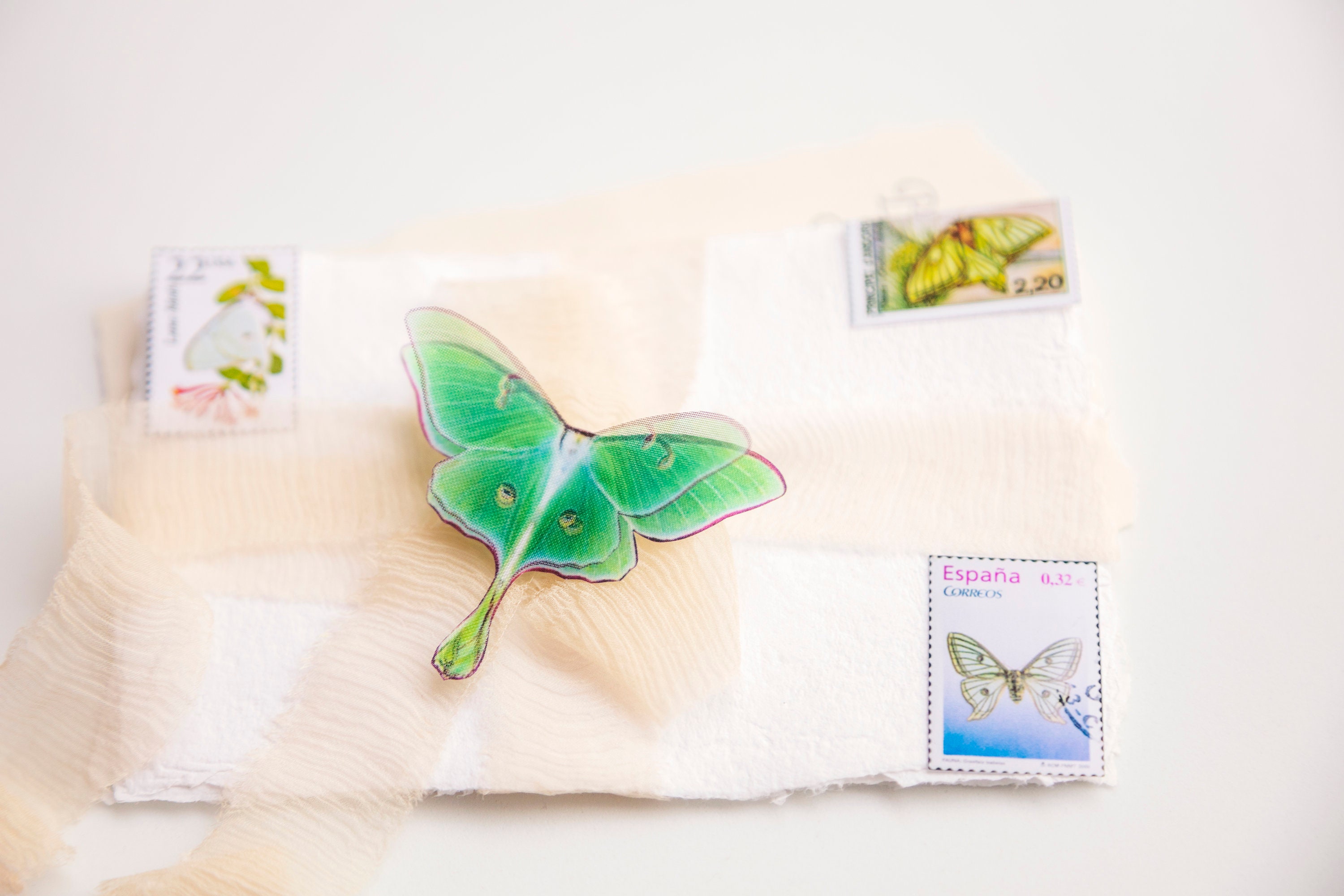 3D Luna Moth Decoration for Stationary Wedding Decoration - Etsy