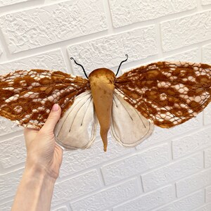 Textile Soft Sculpture Moth, Home Decor Moth, Mega Size Plush Butterfly ...