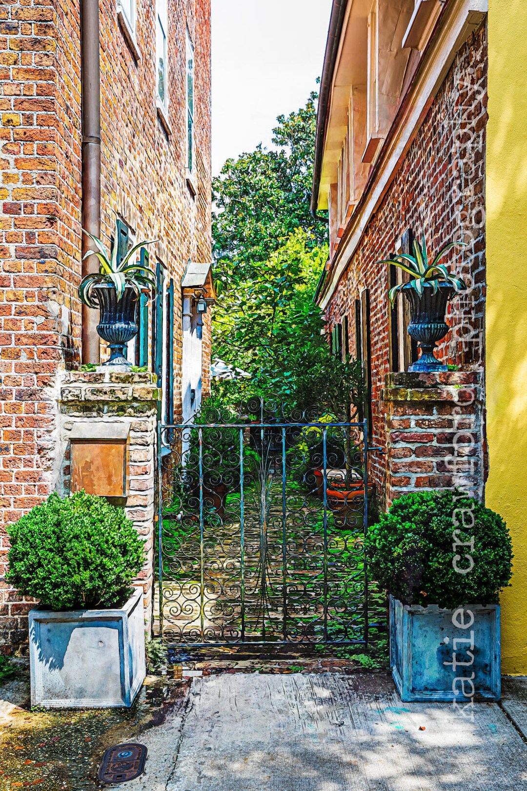 Rainbow Row Iron Gate and Alley | Charleston South Carolina | Fine Art ...
