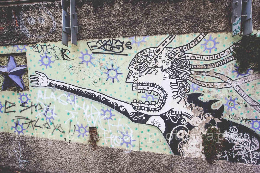 Screaming Devil Wall Mural Valparaiso Chile South America Street ...