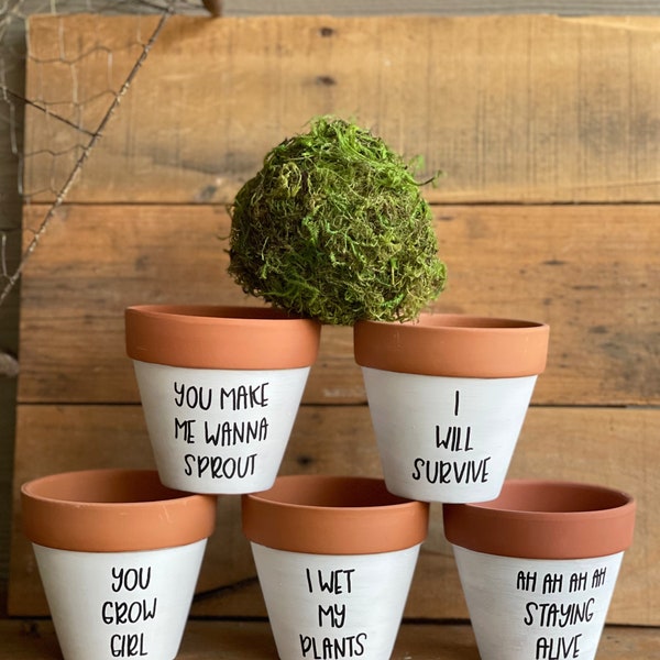 Plant Puns Pots - Etsy