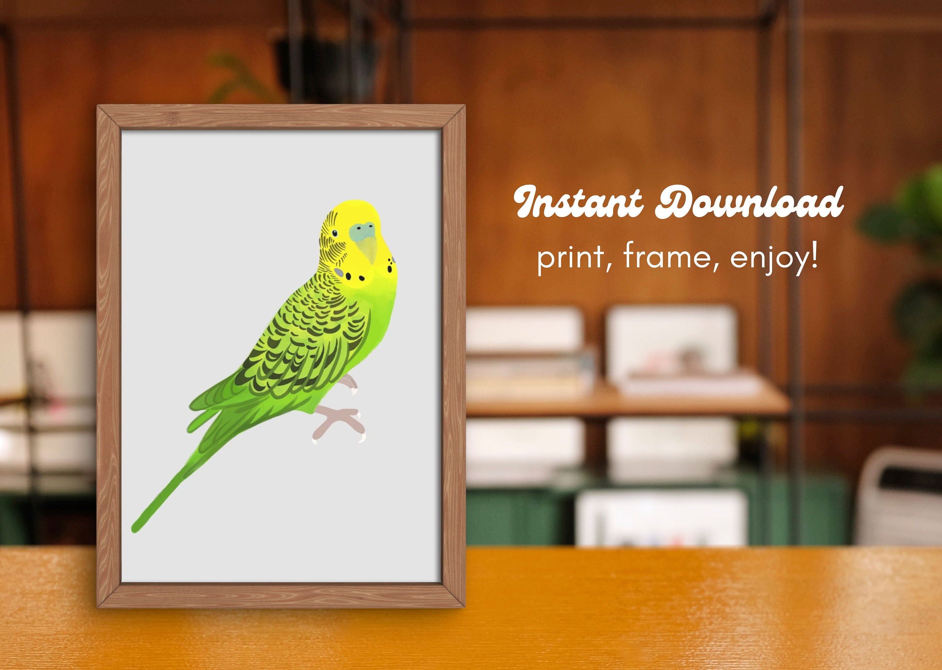 Budgie Illustration Print Digital Download Colorful Bird Wall Art ...