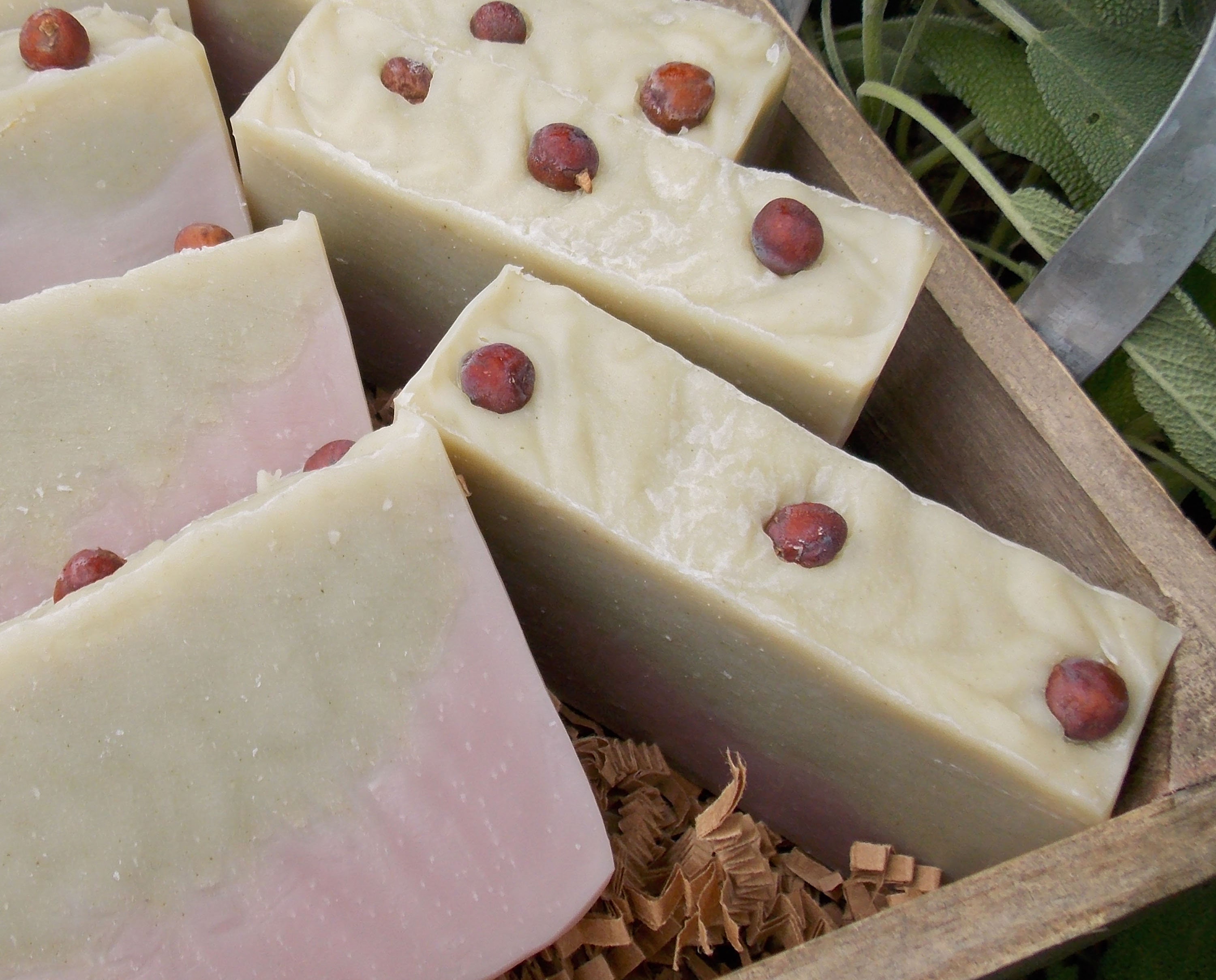 Handmade Natural Sage Juniper Berry Soap Sage Essential Oil - Etsy