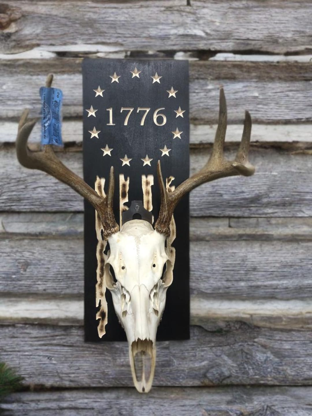Euro Skull Mount 1776 Plaque - Etsy