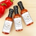 Hot Sauce Wedding Favors, Hot Sauce Gift, Mini Hot Sauce, Custom Hot ...