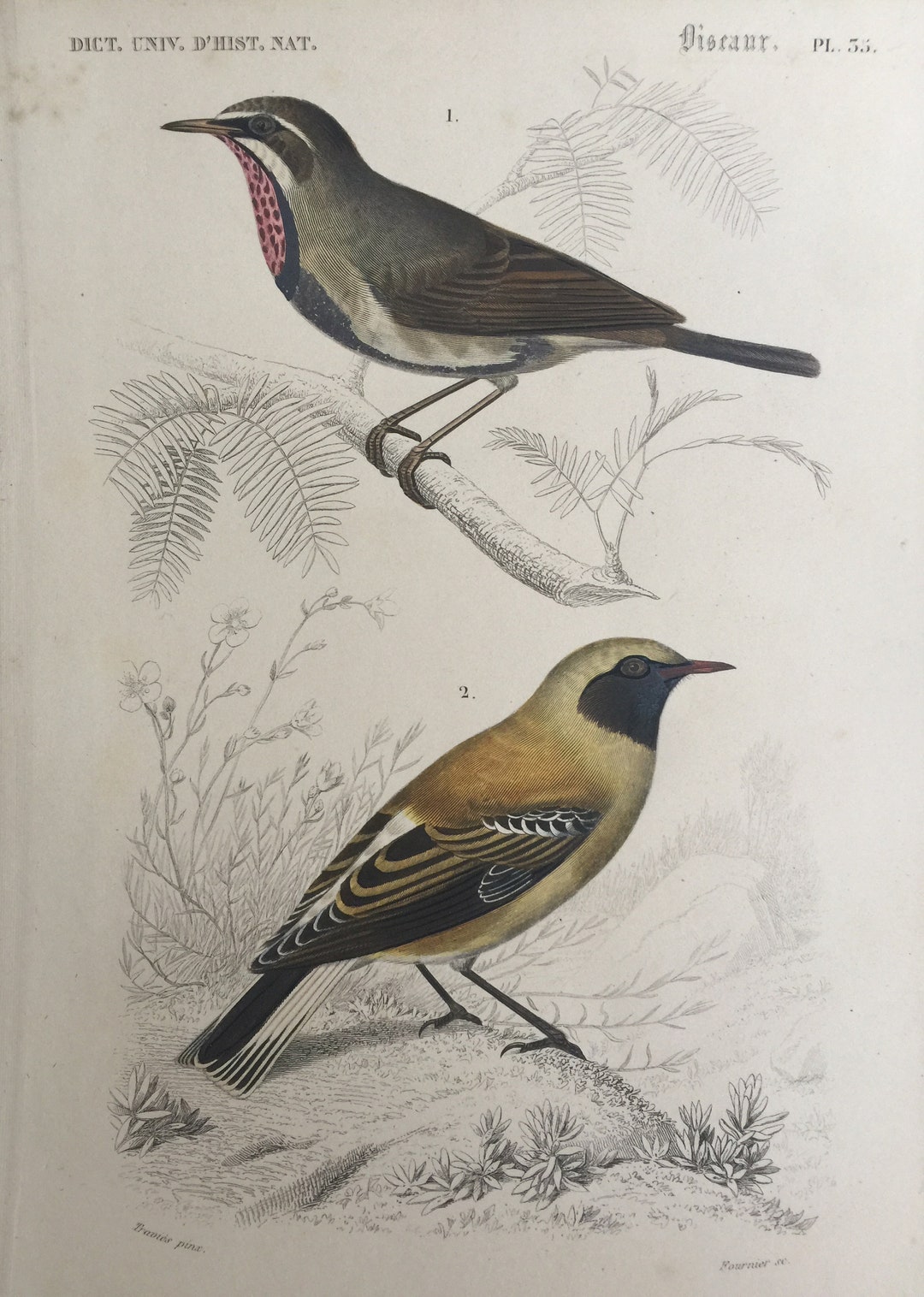 1849 Hand-colored Steel Engraving - Etsy