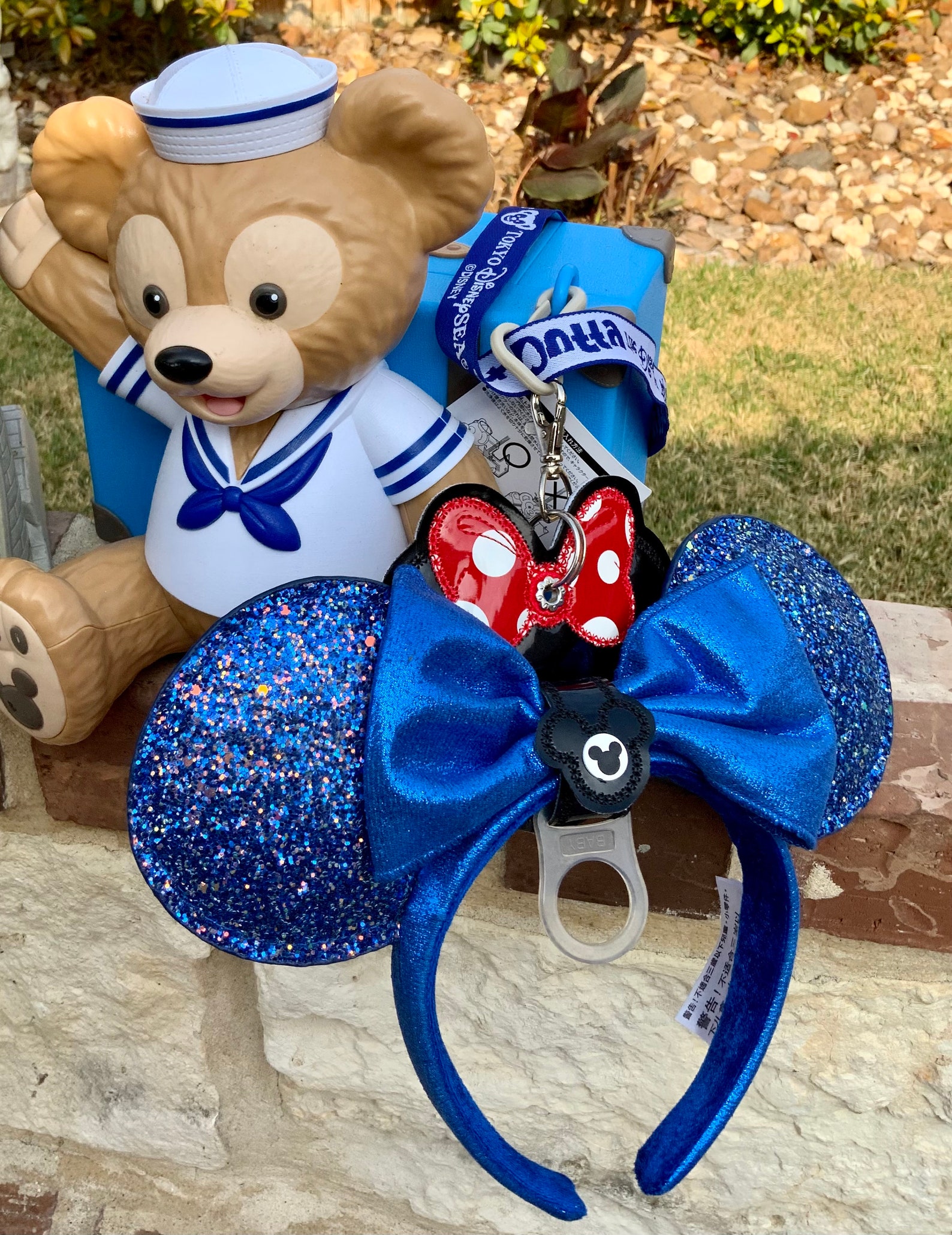 Disney Ear Holder Disney Ear Savers Limited Edition Ear | Etsy