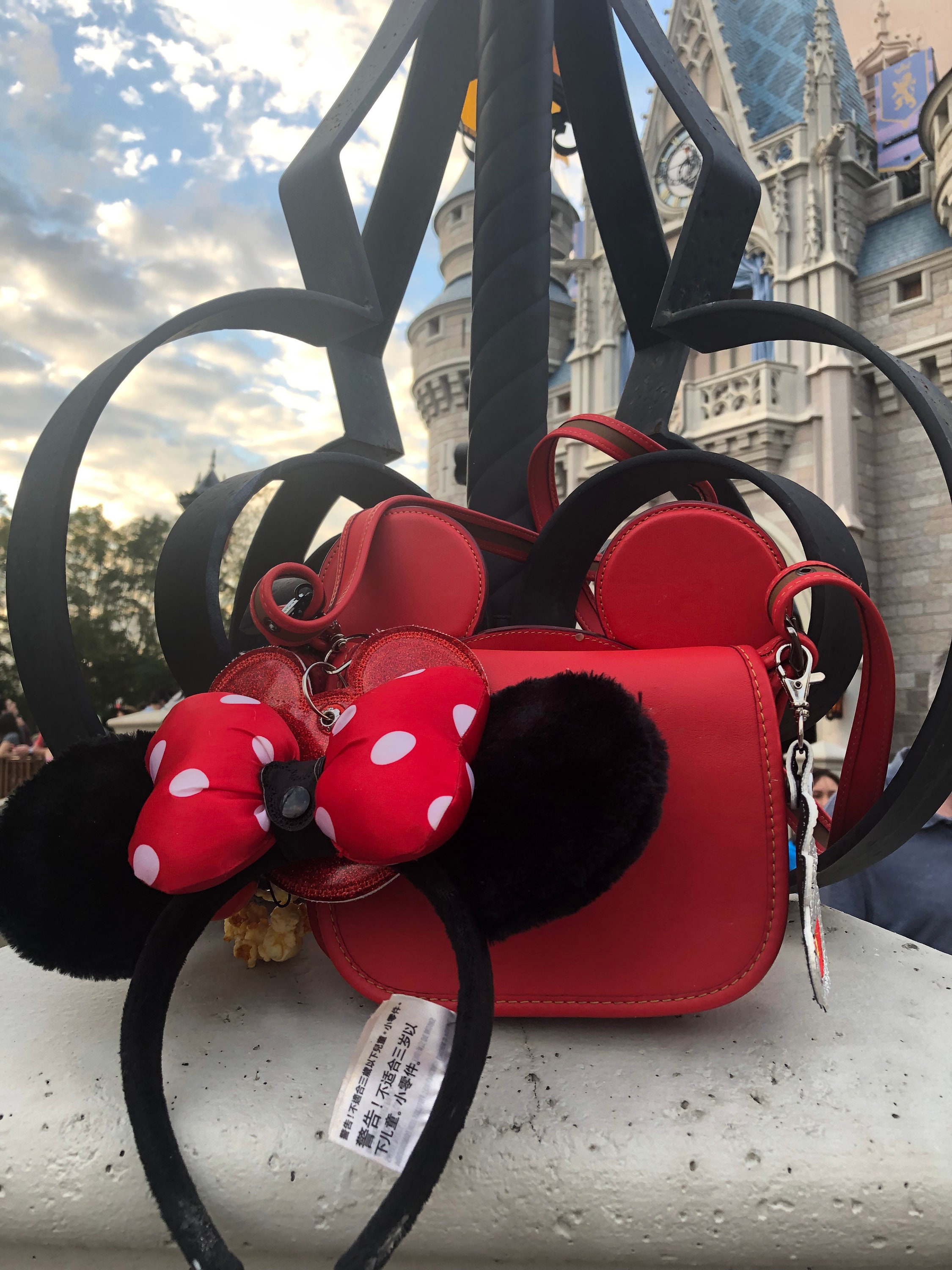 Disney Ears Holder..so Many Choices..........but the Perfect - Etsy