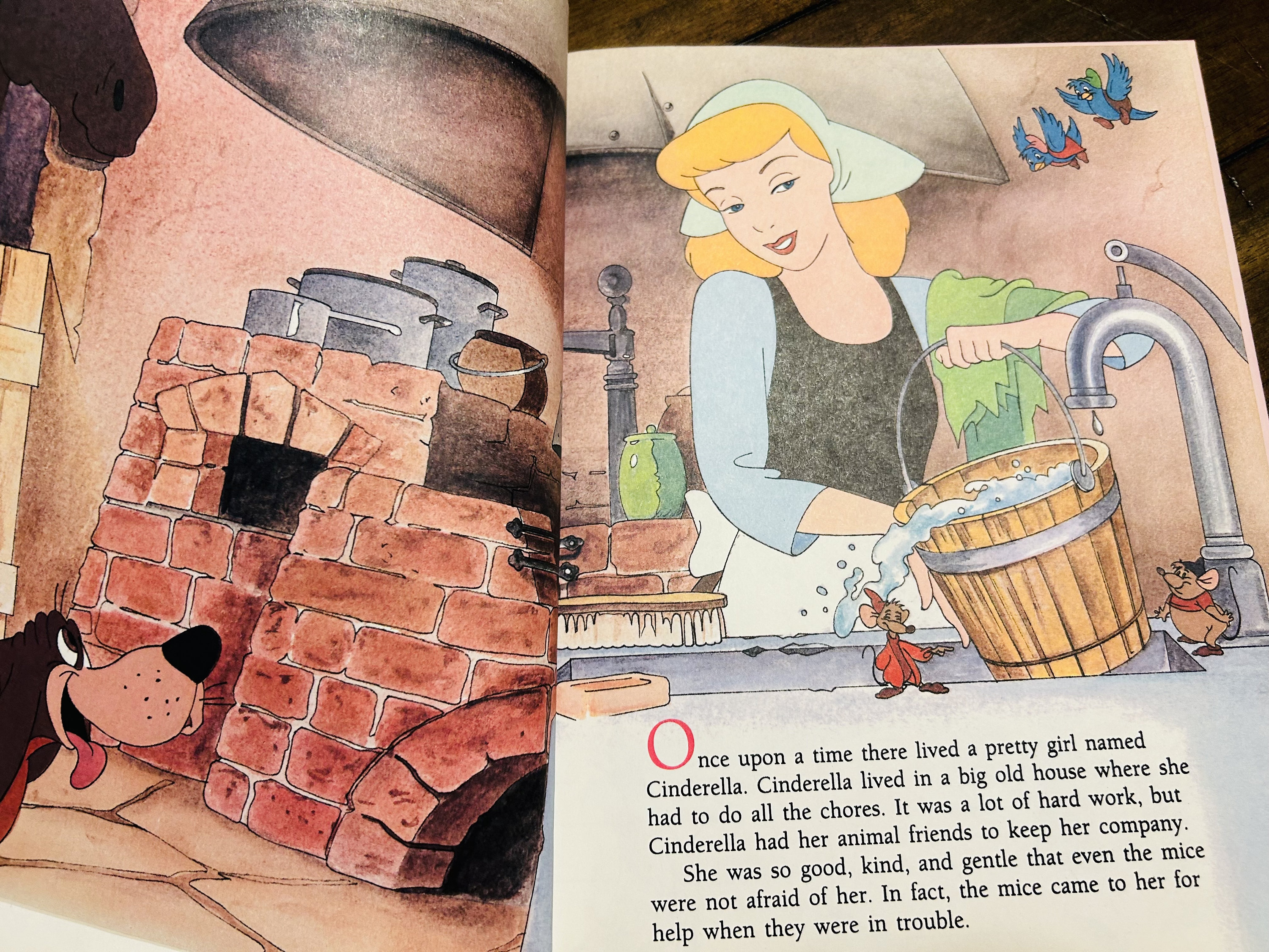 Walt Disneys Cinderella & Her Animal Friends A Book About Kindness A ...