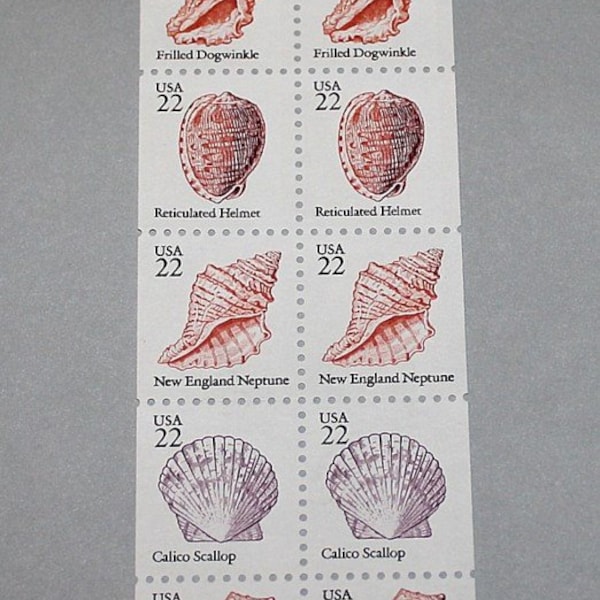 Vintage Seashell Art - Etsy