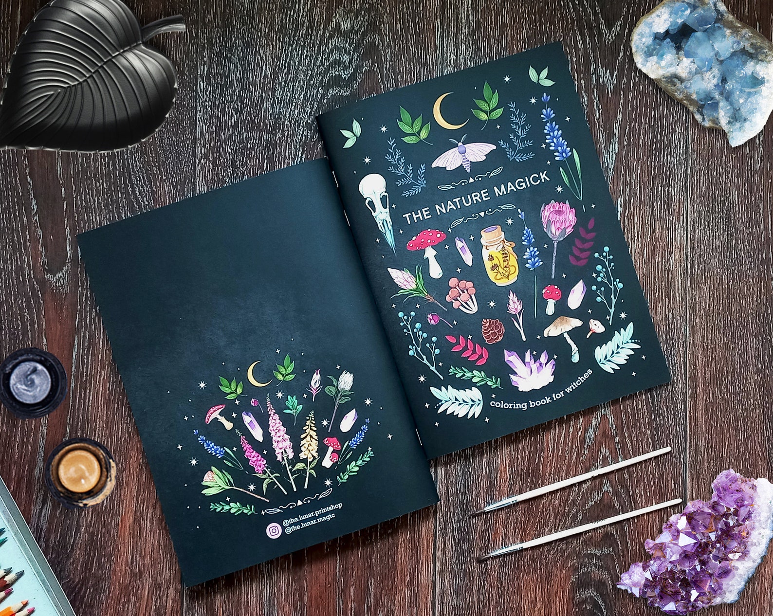 Coloring Book for Witches Spells Coloring for Adults Wicca - Etsy